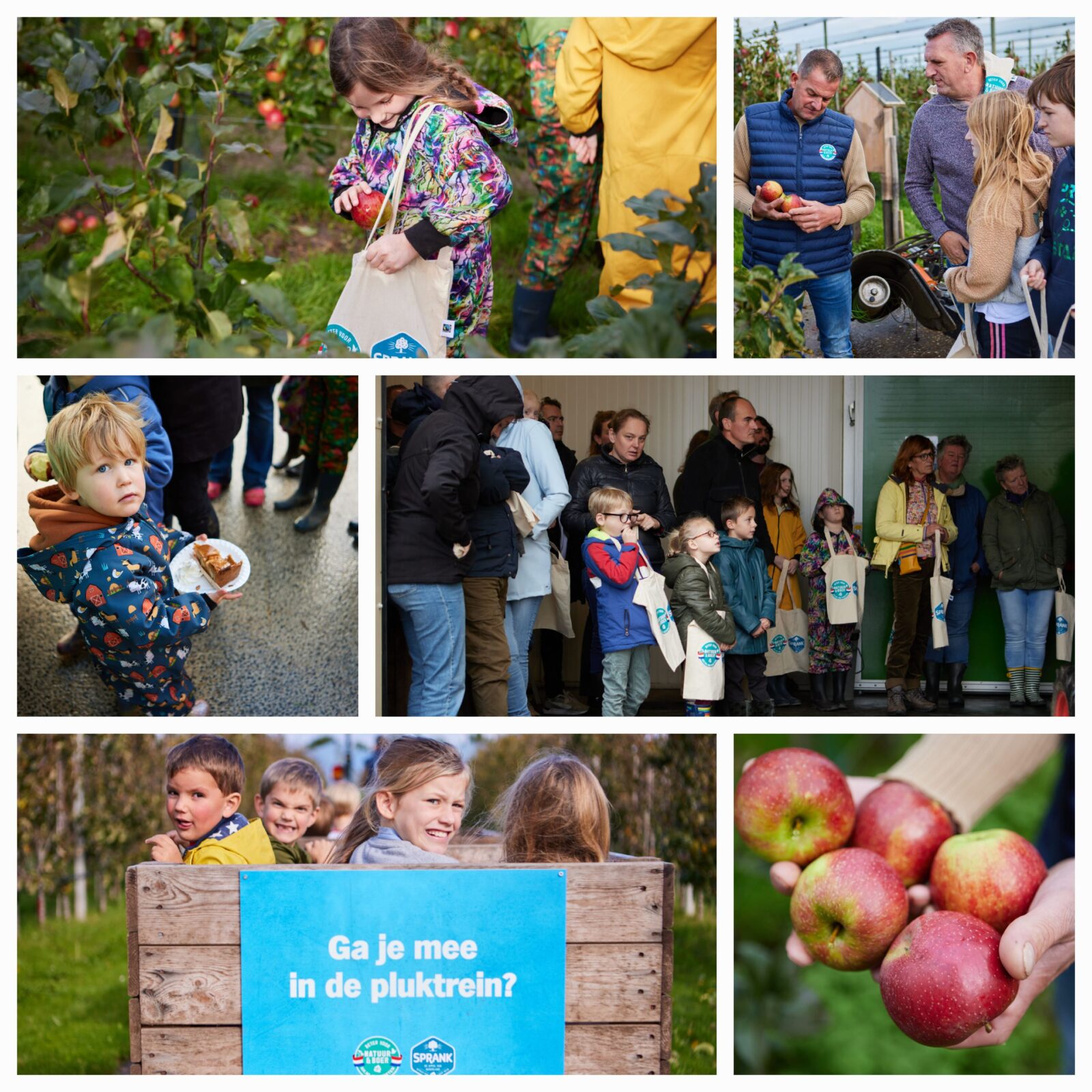 Honderden bezoekers bij SPRANK-telers op AH Plukdag - Vogelaar Vredehof