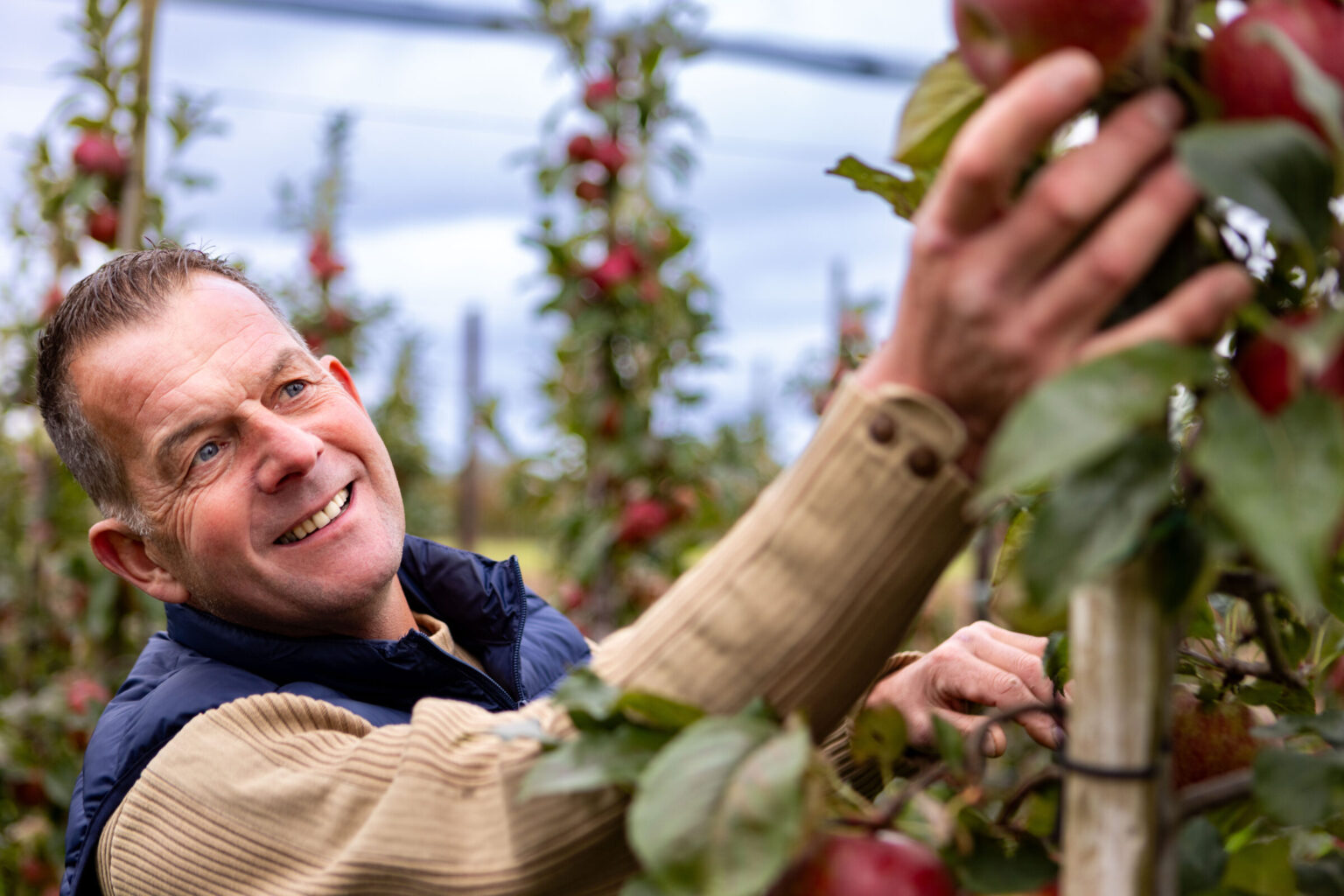 Teelt SPRANK wordt uitgebreid - Vogelaar Vredehof